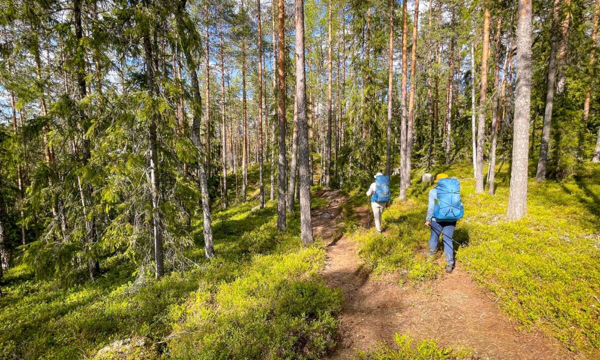 Hikes to Finland’s National Parks Near Helsinki