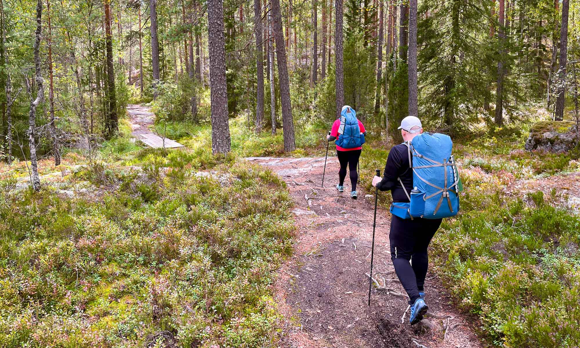 Nuuksio National Park’s Ultimate Trekking Tour