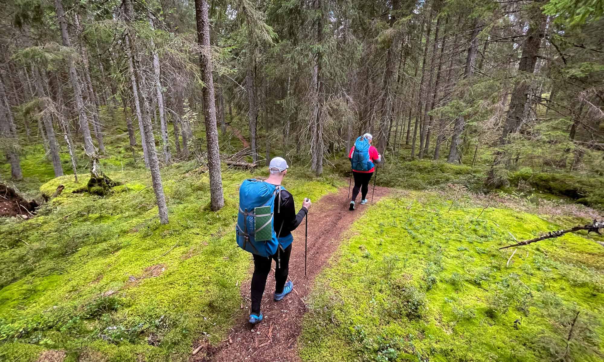 Information About Hiking Tours in Finland - Finnish Friend