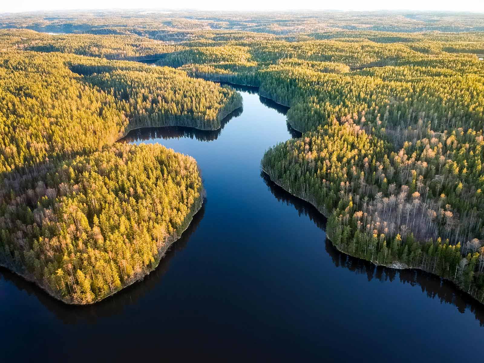 Nature Photos from Nuuksio National Park, Finland